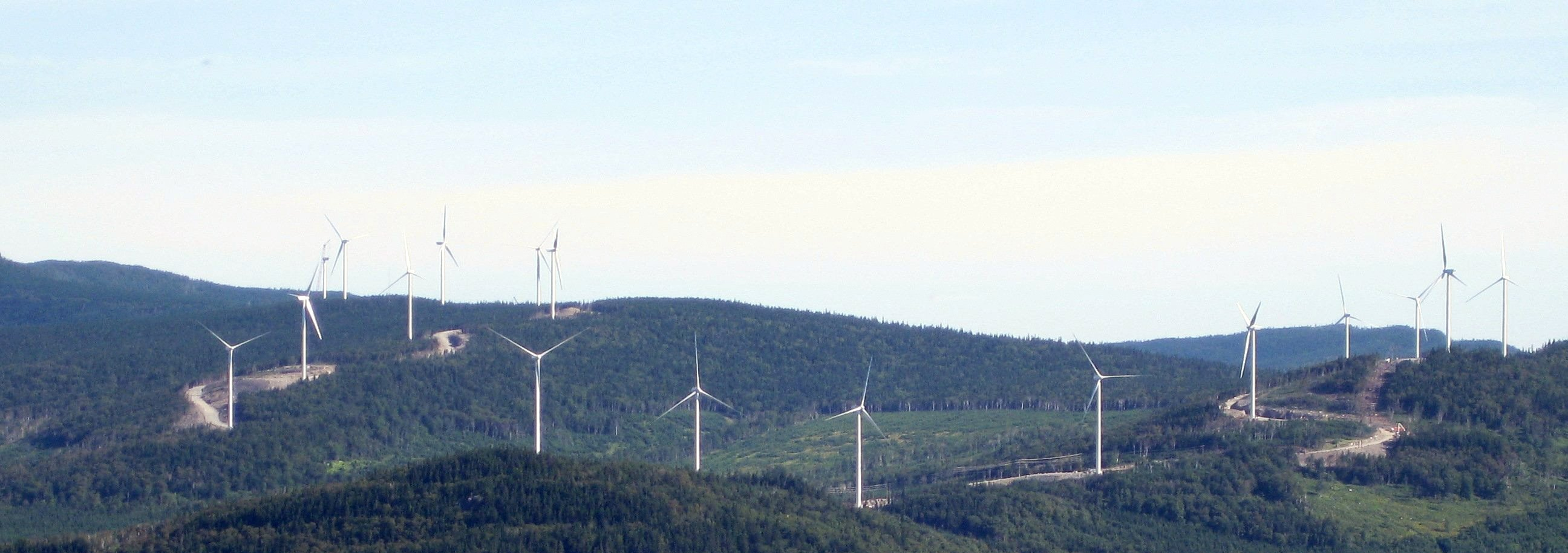 Impacts of Industrial Wind Development on Wildlife and Ridgeline ...