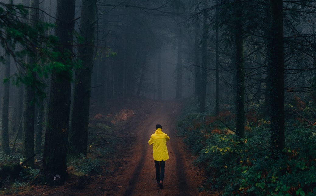 Ecopsychology: How Immersion in Nature Benefits Your Health – Save The ...